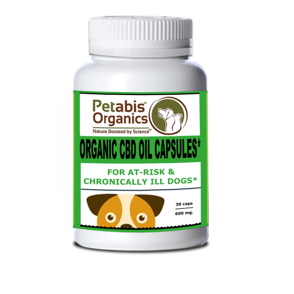 CBD HEMP OIL CAPSULES 600 MG. ACTIVE CBD FOR DOGS* ORGANIC CBD HEMP OI ...